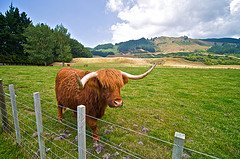 Rotorua Agrodome - Come See The Best Farm Show In NZ